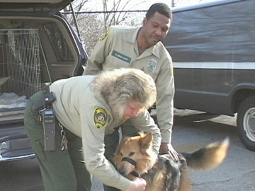 Animal Control Workers